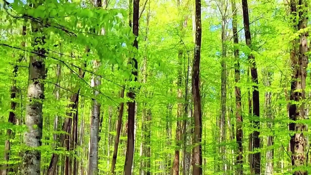 Otilia - Dimelo papito (Baga Banini remix) Top Models, Music video 2023 ...