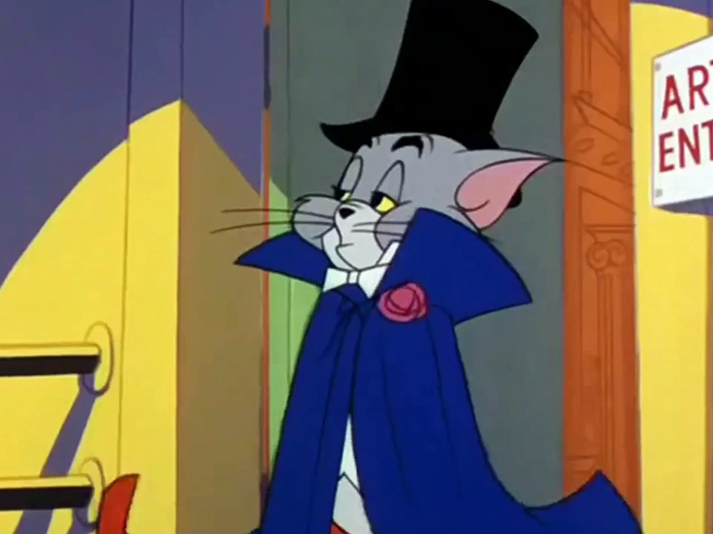 Tom And Jerry Cat