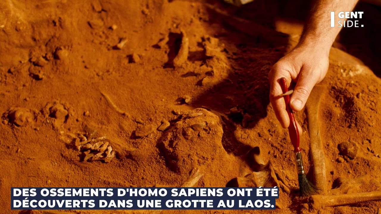 Des ossements humains de 86 000 ans retrouvés au Laos - Vidéo Dailymotion