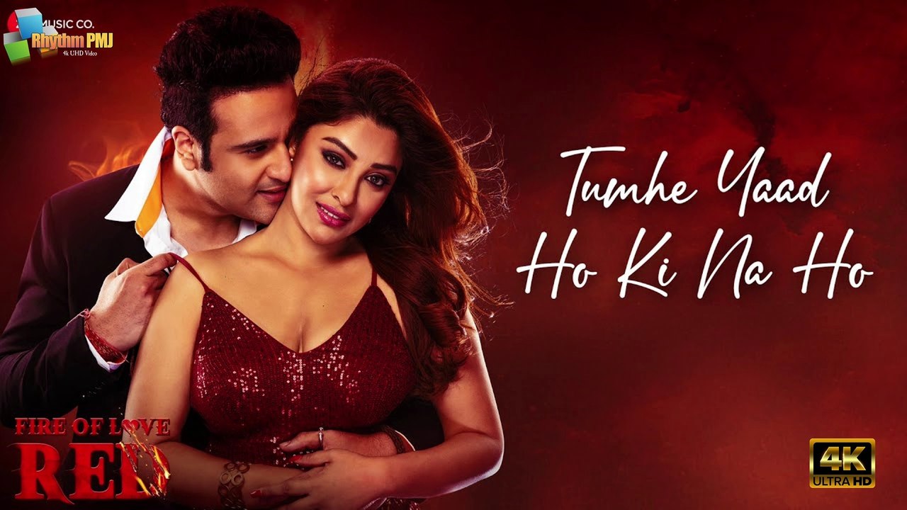 Tumhe Yaad Ho Ki Na Ho | Fire of Love Red | Shaan & Reema N | Krushna Abhishek, Payal G ...