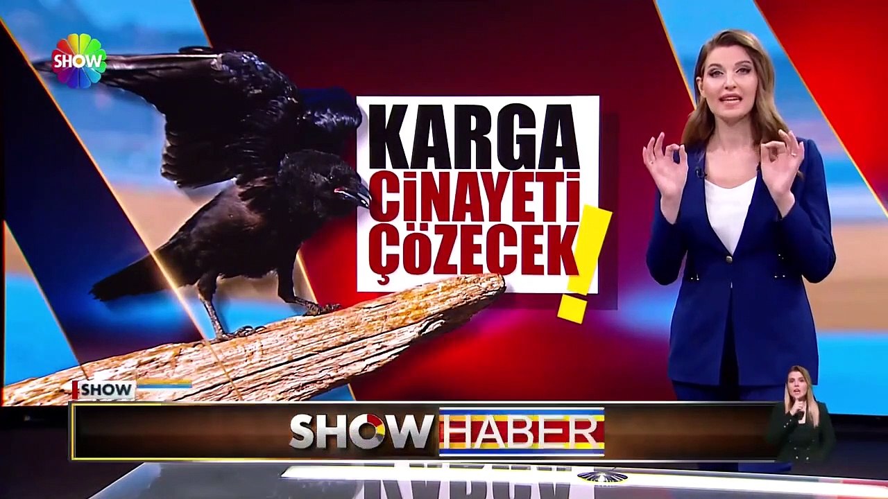 İstanbul'da karga tarafından bulunan parmakların neşterle kesilmiş ...