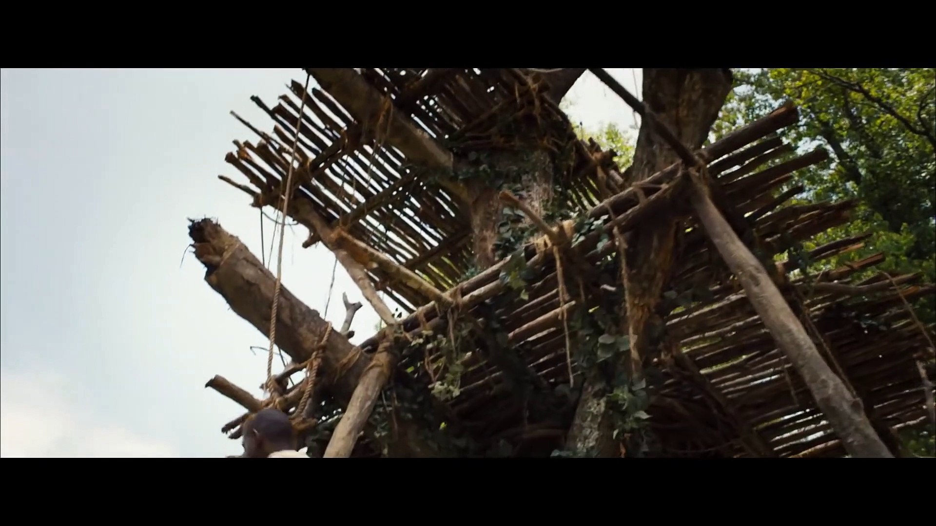 The Maze Runner Homestead