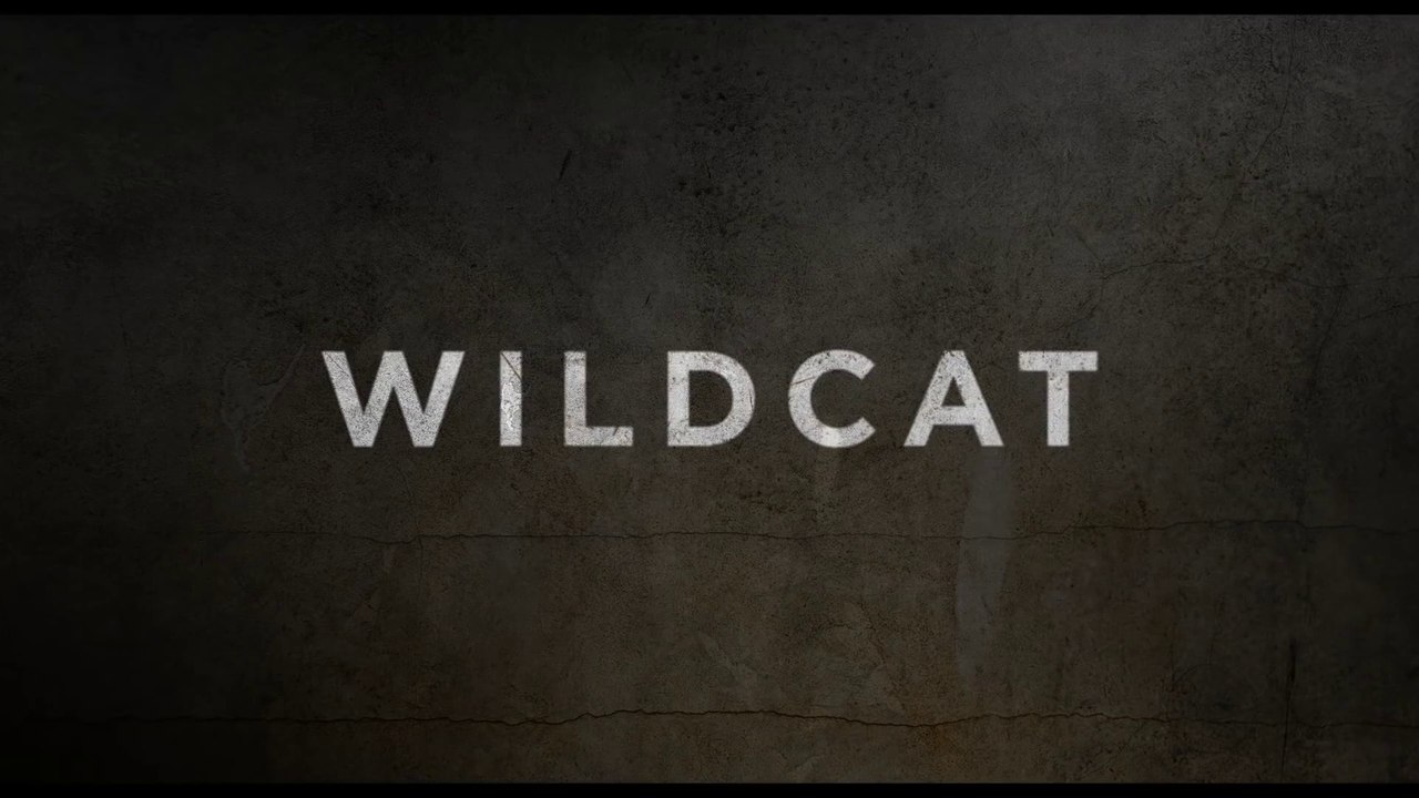 WILDCAT (2021) Trailer VO - HD - Vidéo Dailymotion