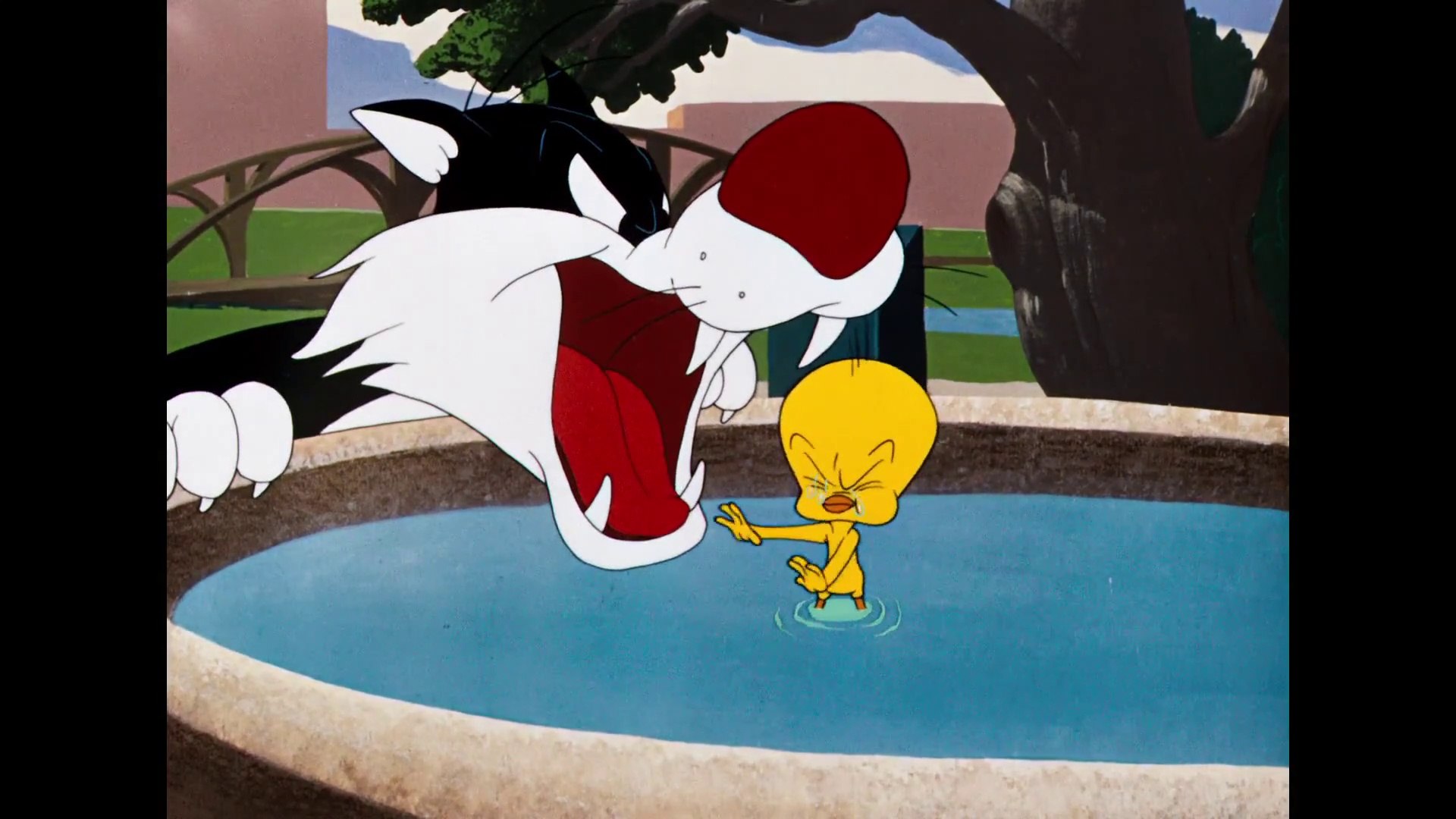 Sylvester And Tweety Bird