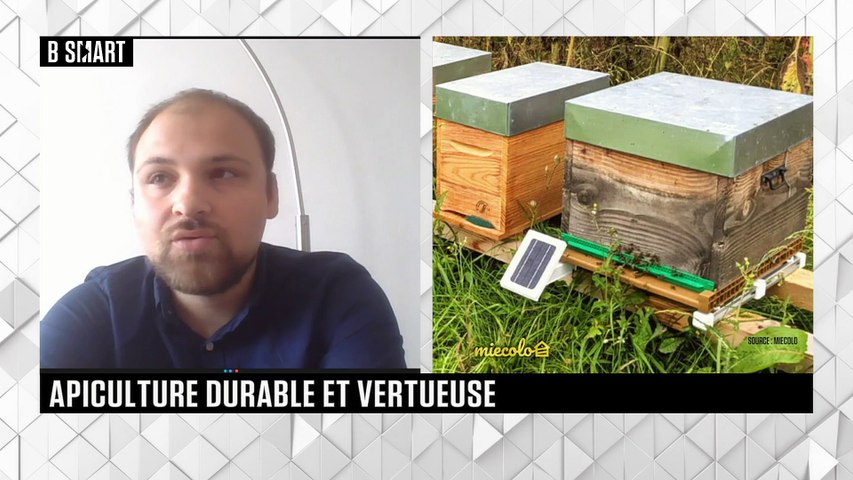 SMART IMPACT - Apiculture durable et vertueuse