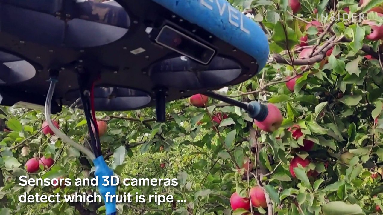 Are fruit-picking drones the future of harvesting? - video Dailymotion