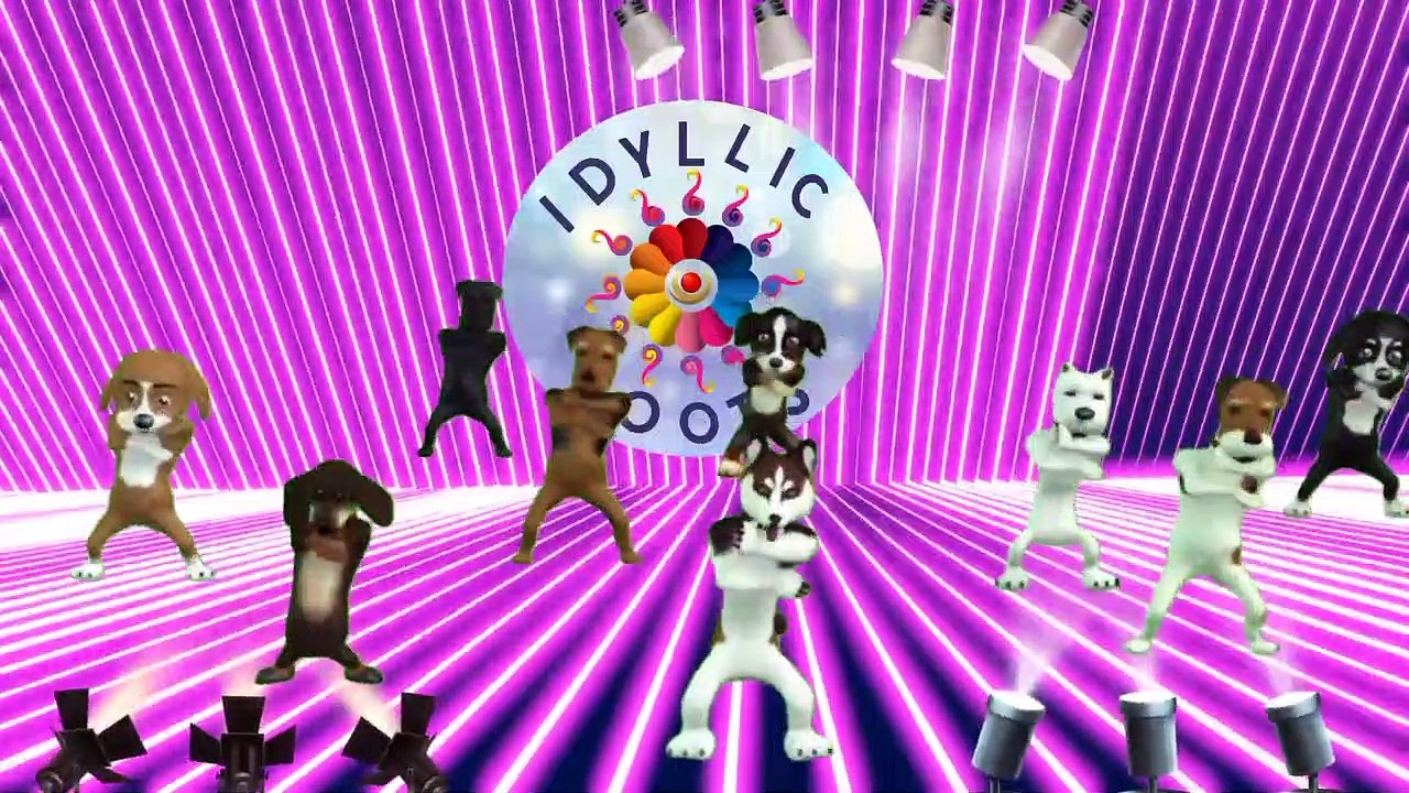 Puppy dance video | cute puppy dance | dog dance on fast music | Cute ...
