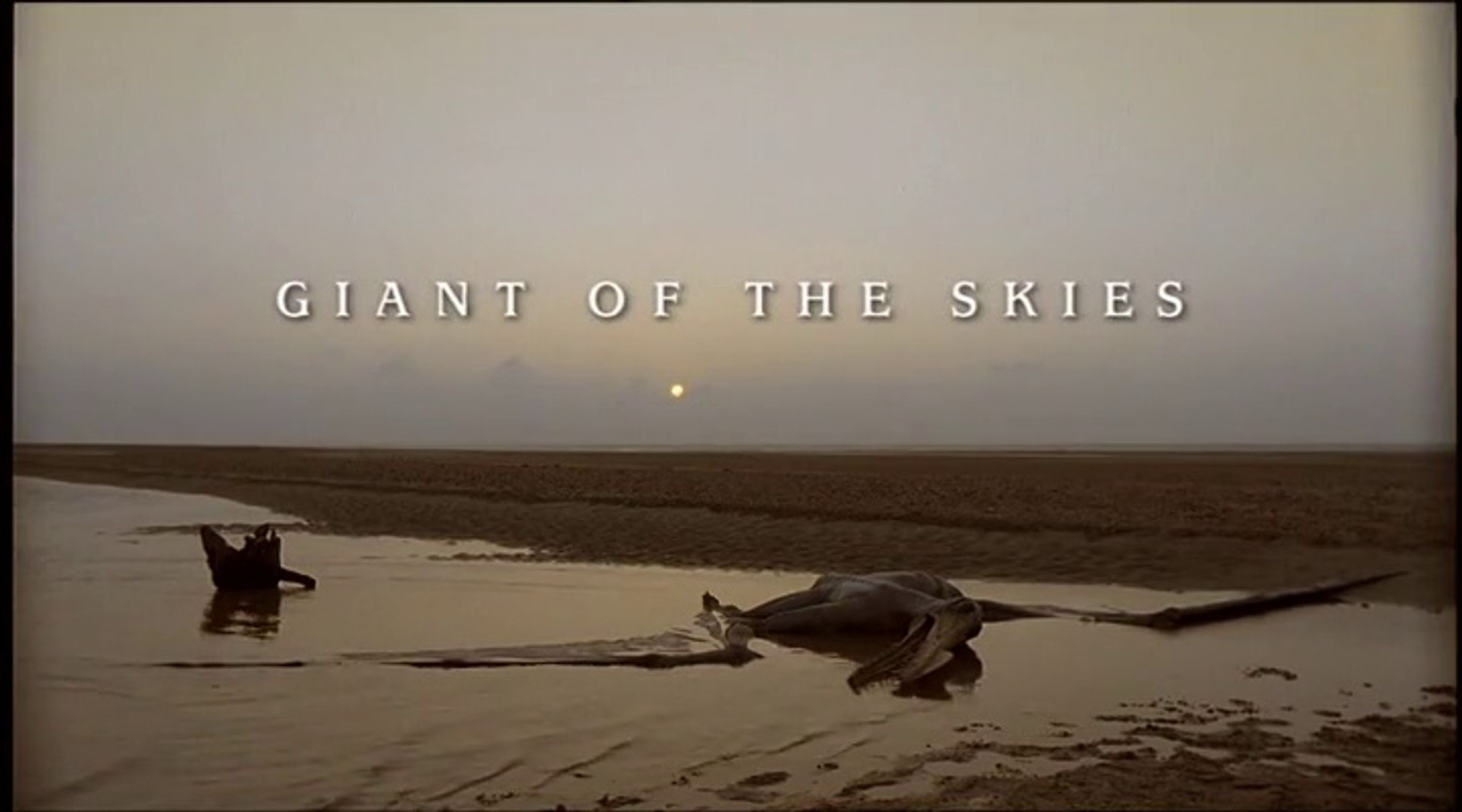 Walking With Dinosaurs Movie Pterosaurs Walking With Dinosaurs'