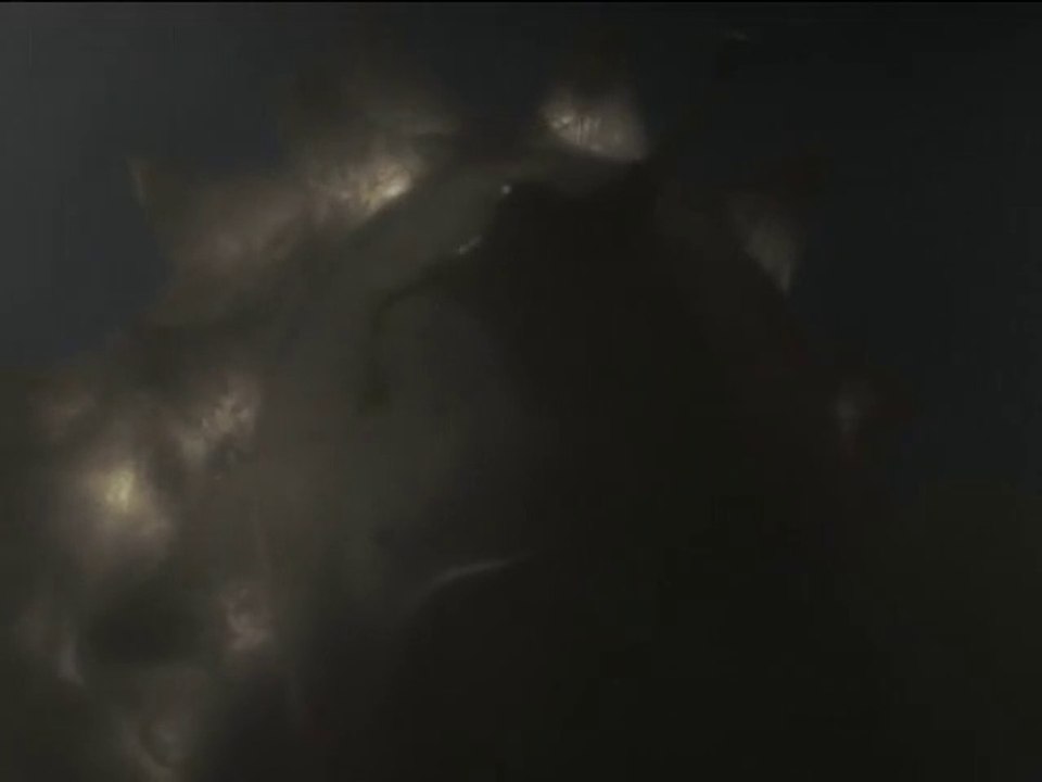 Ultra Q Episode 24 : The Idol of Goga - video Dailymotion