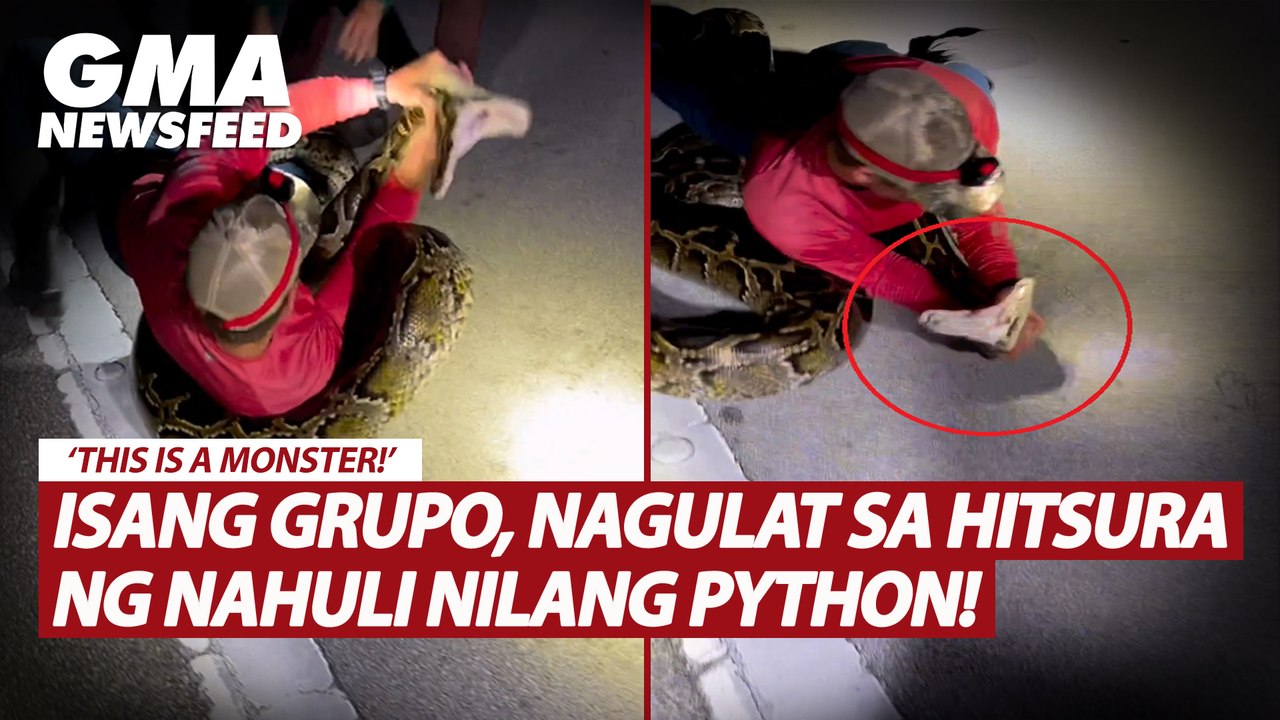 Isang grupo, nagulat sa hitsura ng nahuli nilang python! | GMA News Feed - video Dailymotion
