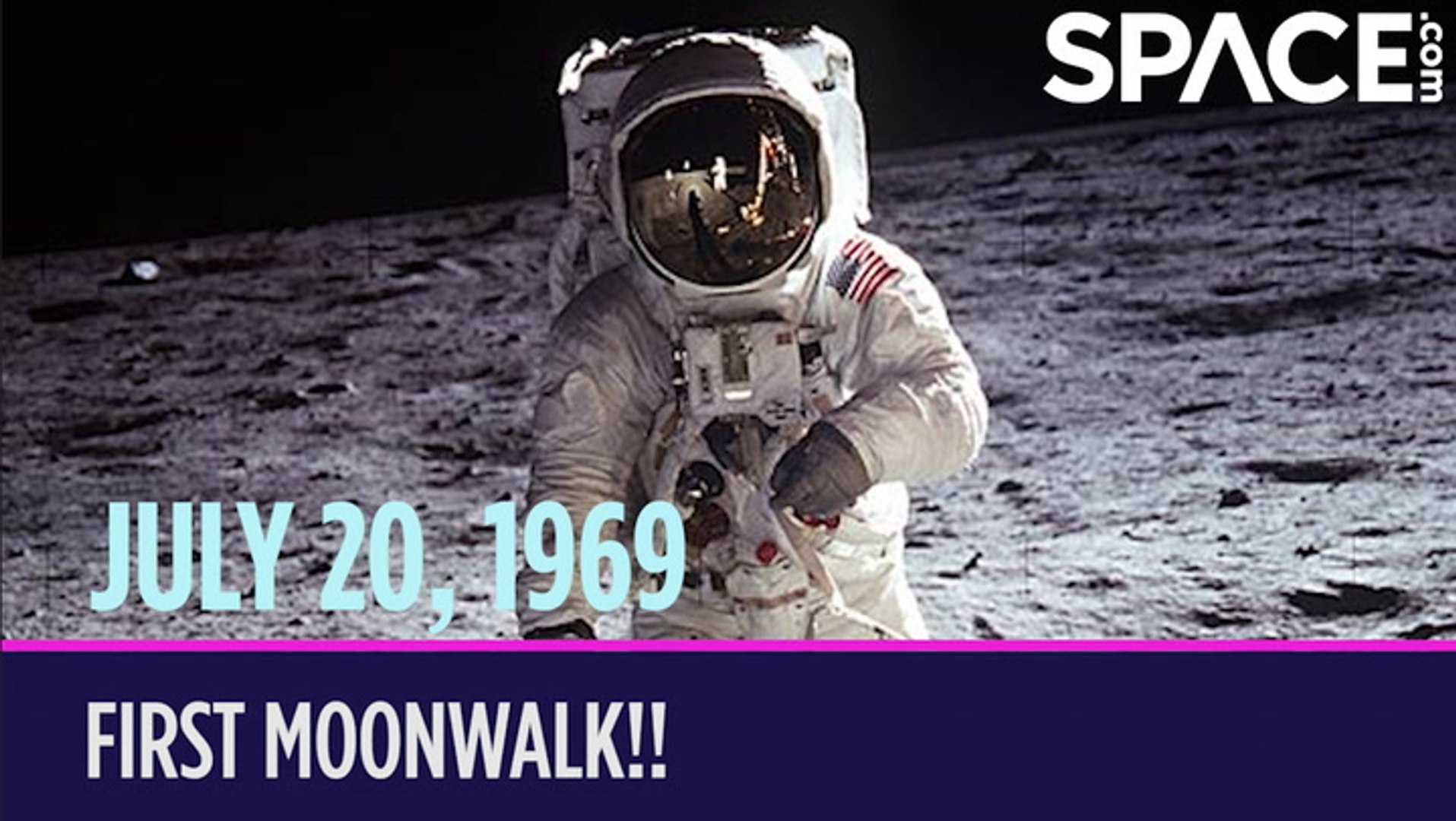 Astronaut Moonwalk NASA Astronaut Moon Walk Dogstronaut Space Dog
