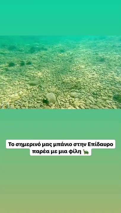 Αντελίνα Βαρθακούρη: Κολυμπάει στο βυθό παρέα με μια θαλάσσια χελώνα ...