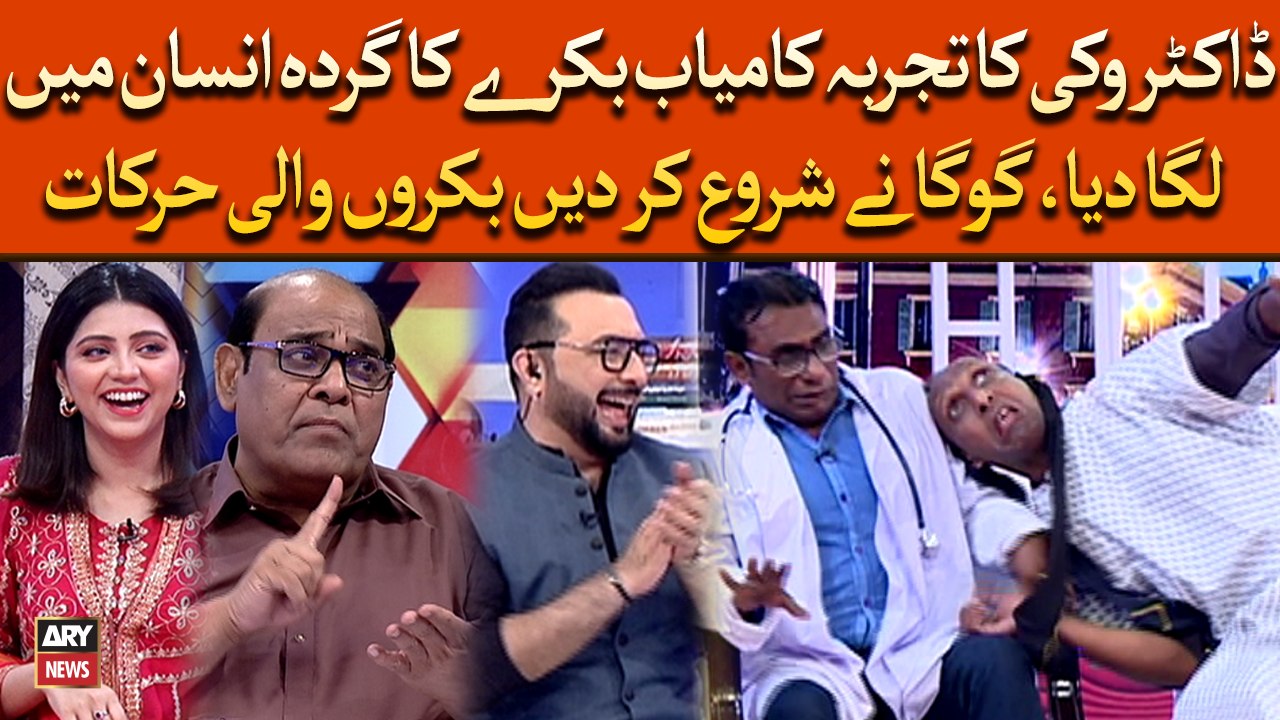 Doctor Vikky Ka Tajurba Kamiyab Bakre Ka Gurda Insan Mai Laga Diya ...