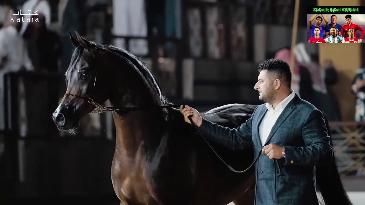 The Legendary Marwan Al Shaqab & His Best son Arabian Horse - video ...