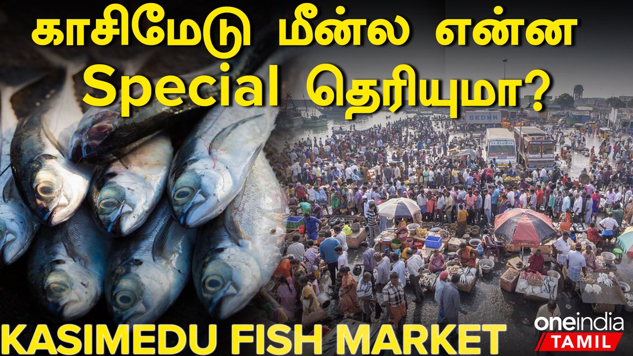 A Day At Kasimedu Fish Market | காசிமேடு மார்கெட் - video Dailymotion