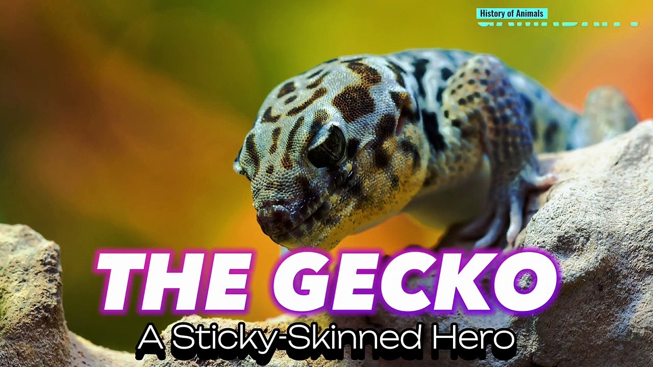 The Gecko:A Sticky-Skinned Hero_ G.TV - video Dailymotion