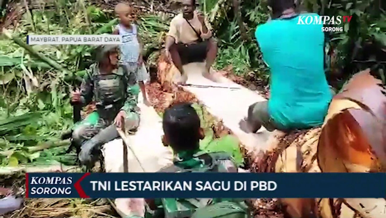 TNI dan Warga Panen Sagu di Papua Barat Daya - Video Dailymotion