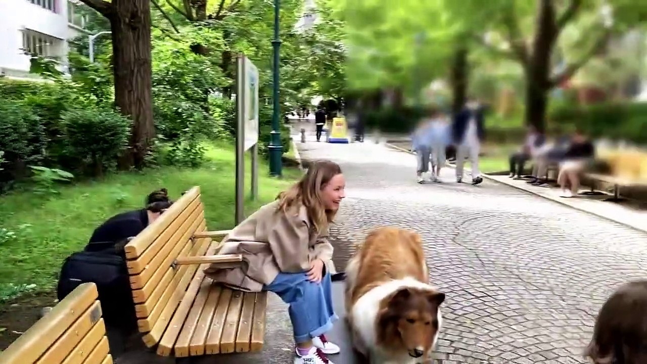 Binlerce dolar harcadı: Border Collie oldu - Dailymotion Video