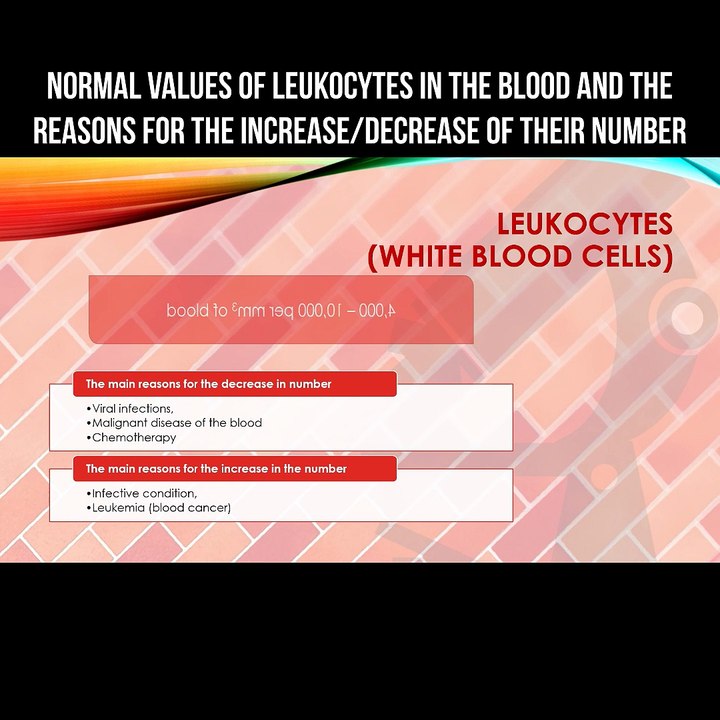 Normal values of leukocytes (white blood cells) in the blood and causes ...