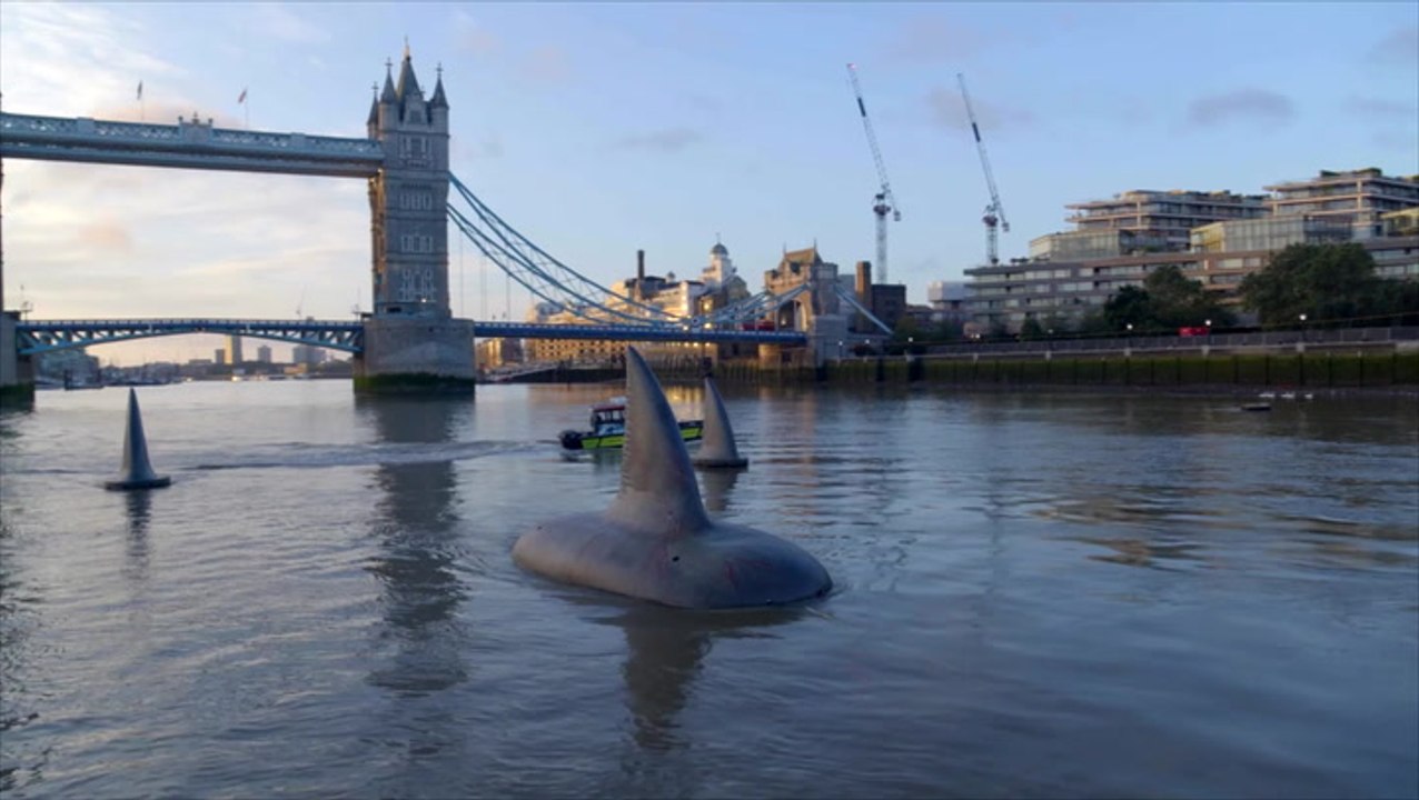 Huge shark fins filmed in River Thames, but it’s not what you think ...