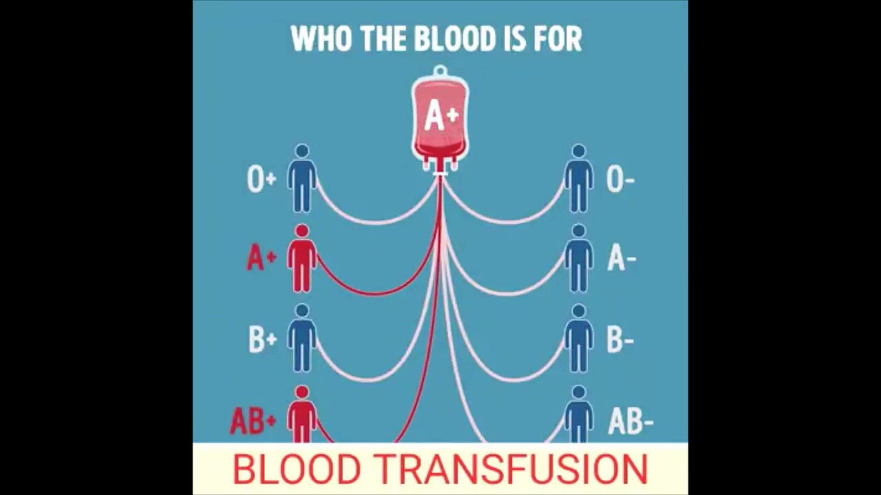 Blood Transfusion Compatibility | ABO Blood Group System | Rh Blood ...