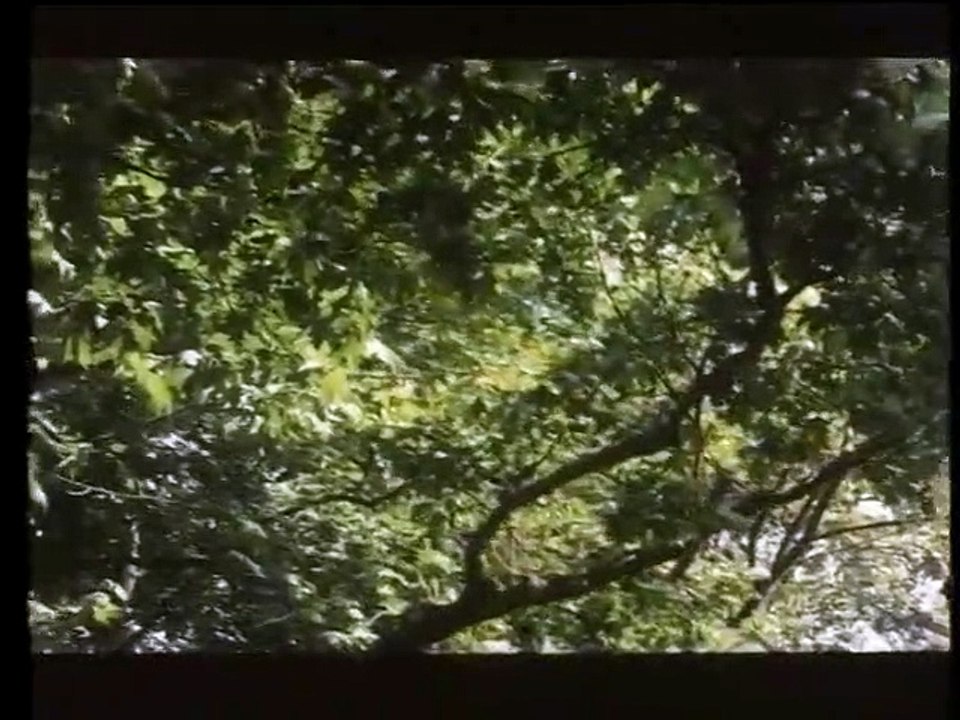 ΠΕΤΡΙΝΑ ΧΡΟΝΙΑ - 1985 - DVDRip - 720x576 - Α' ΜΕΡΟΣ - Dailymotion Video