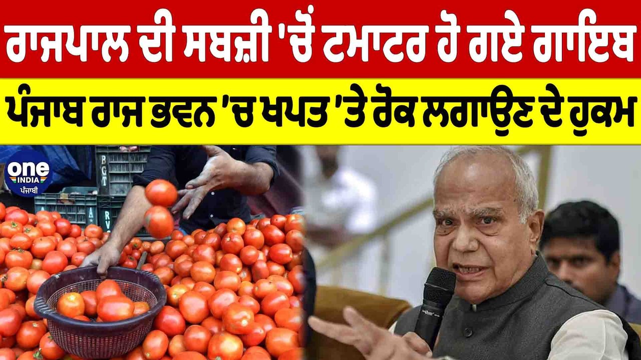Rajpal ਦੀ ਸਬਜ਼ੀ 'ਚੋਂ ਟਮਾਟਰ ਹੋ ਗਏ ਗਾਇਬ, Punjab ਰਾਜ ਭਵਨ ’ਚ ਖਪਤ ’ਤੇ ਰੋਕ ...