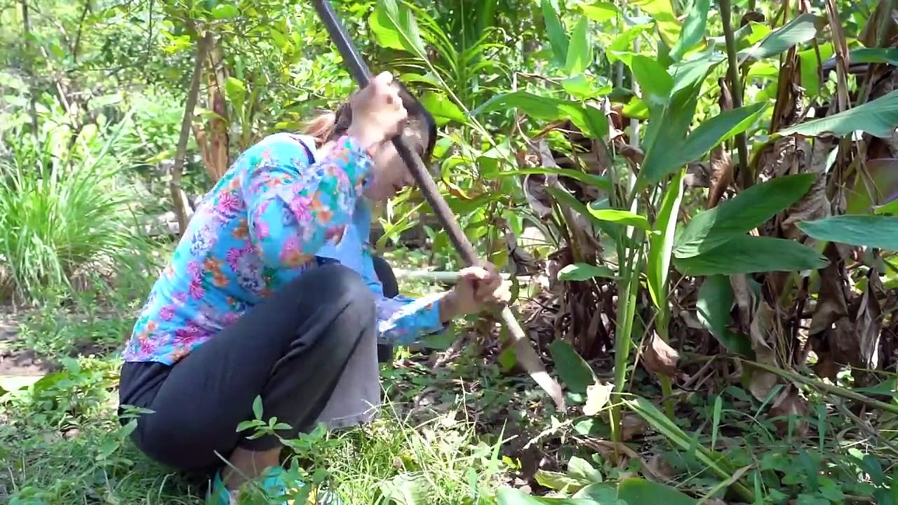Fresh arrowroot in my homeland and cook cake for my lunch - Polin ...