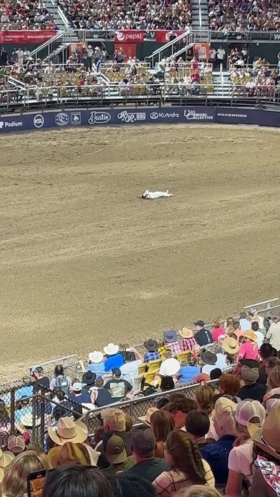 Matador Injured by Bull at Rodeo - video Dailymotion