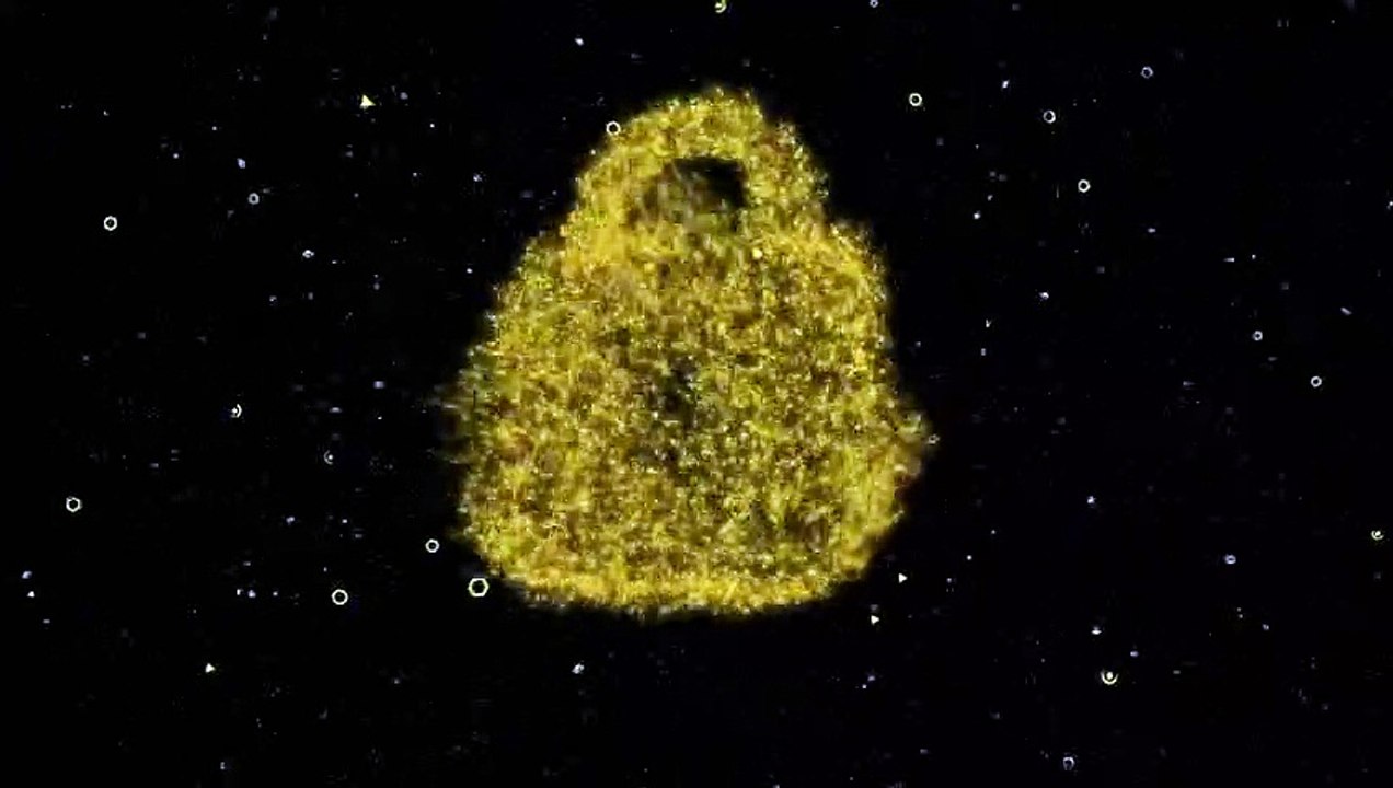 Connecting Samsung Exynos devices in EUB mode to Chimera Tool - video ...