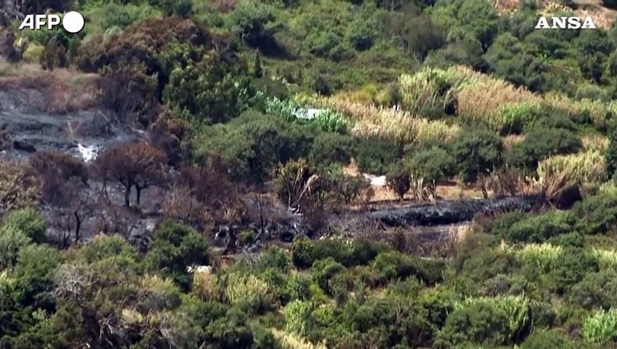 Incendi boschivi in Marocco, Canadair in azione nella foresta di Rmilat ...