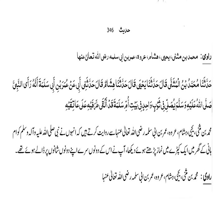 Sahih Bukhari Hadith (Hadees Sahih Bukhari 346) #bayan #hadees #hadith ...