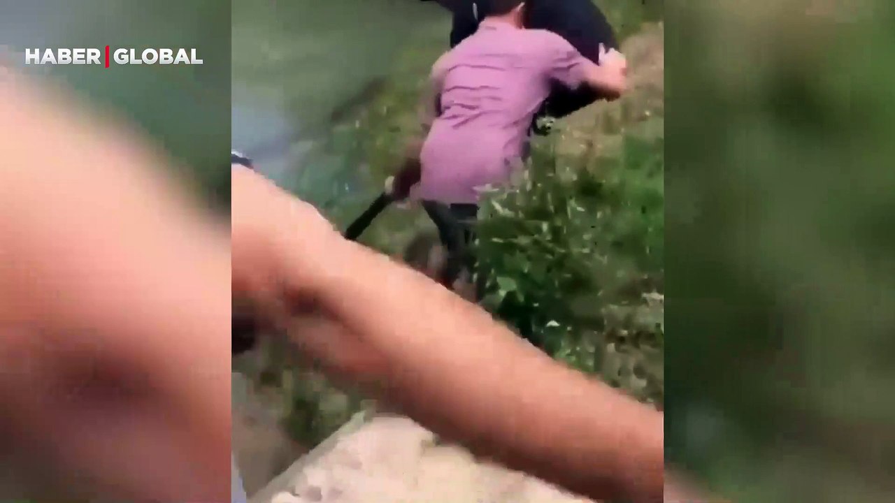 Yavru köpeği anakondadan böyle kurtardılar! - Dailymotion Video