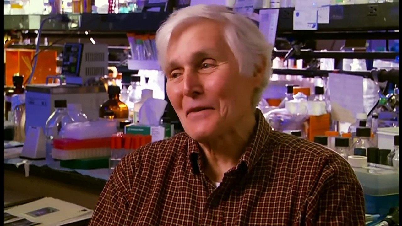 100 Greatest Discoveries By Bill Nye S1E7 Biology - video Dailymotion