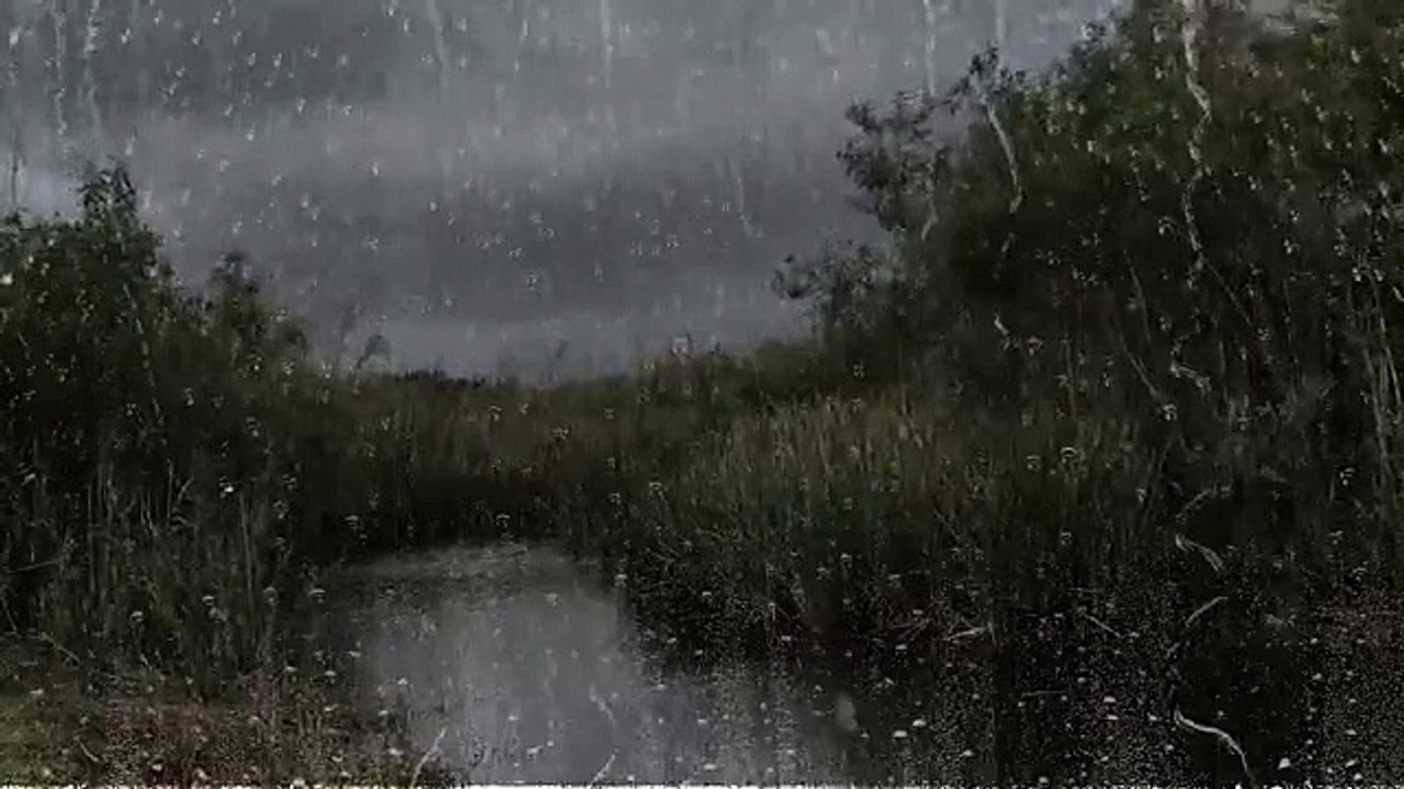 Raining Video Sound for Deep Sleep - video Dailymotion