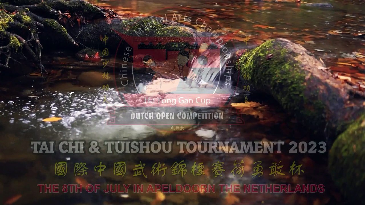 Tai Chi & Tui Shou Championships | He Yong Gan Cup 2023 - Video Dailymotion