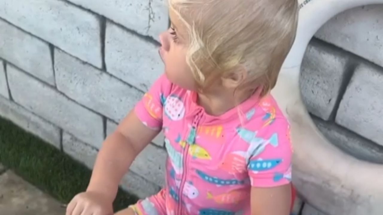 'This is crazy!' - Toddler splashes into the swimming pool on his toy ...