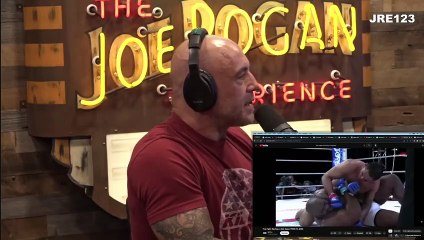 The Joe Rogan Experience - Hulk Hogan part 2 of 3 by Victor Pizzey ...