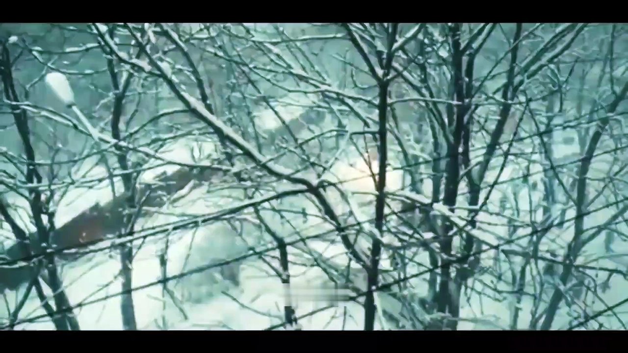 Winter Car Crash #160 Snow Fails Compilation - video Dailymotion