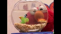Elmo's World: Pets (Original) (Higher Quality) - video Dailymotion