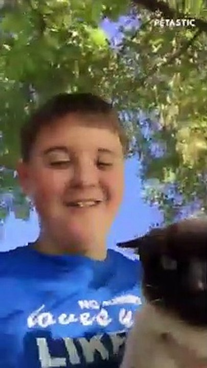 Hilarious and Shocking Cat Attacks You'll Ever See PETASTIC - video ...