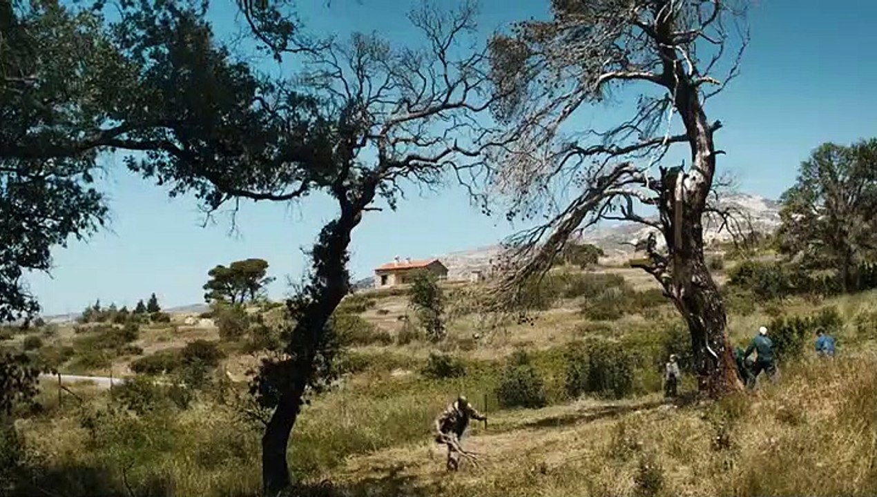 ΤΟ ΔΕΝΤΡΟ ΚΑΙ Η ΚΟΥΝΙΑ - 2013 - DVDRip - 720x384 - video Dailymotion