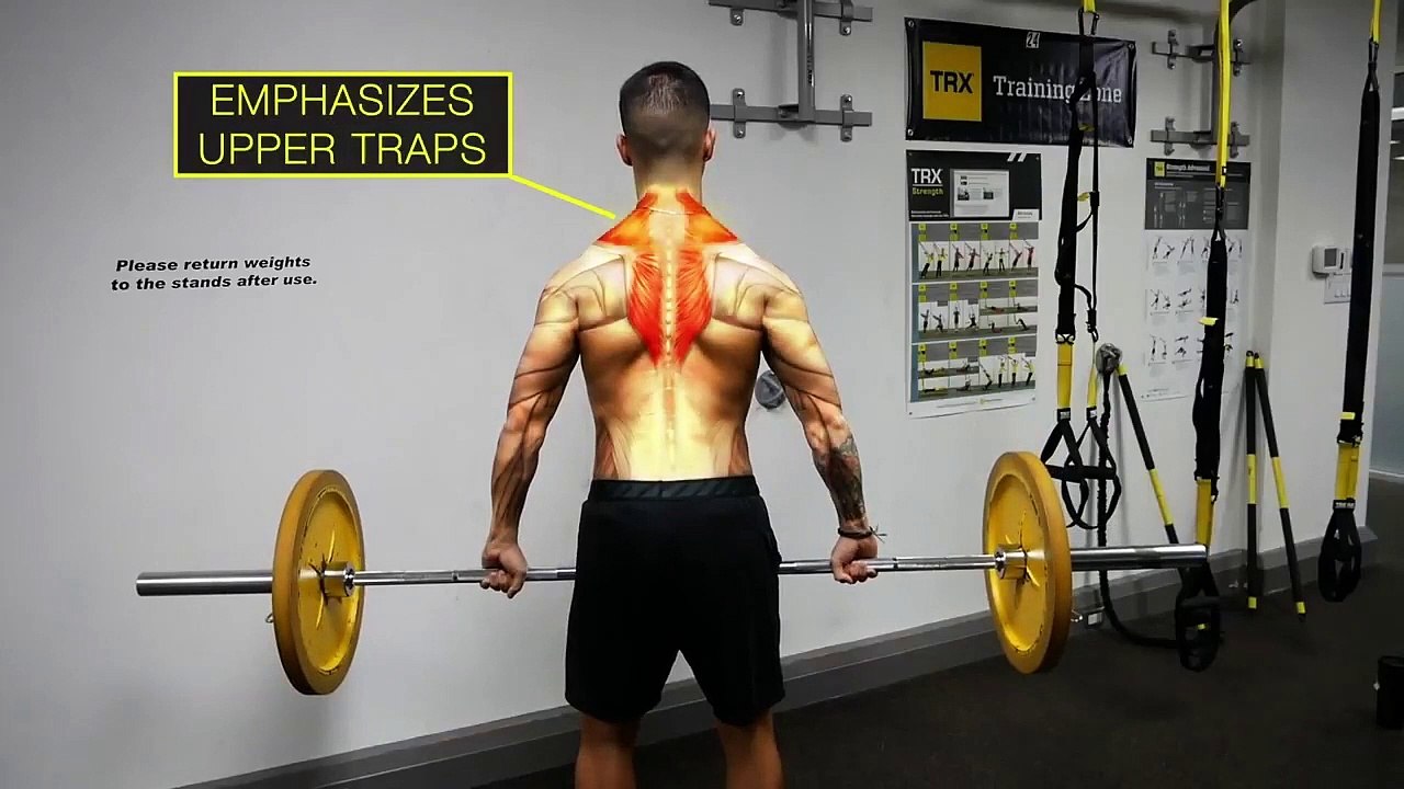 The Best Science-Based Trap Workout for Growth - video Dailymotion