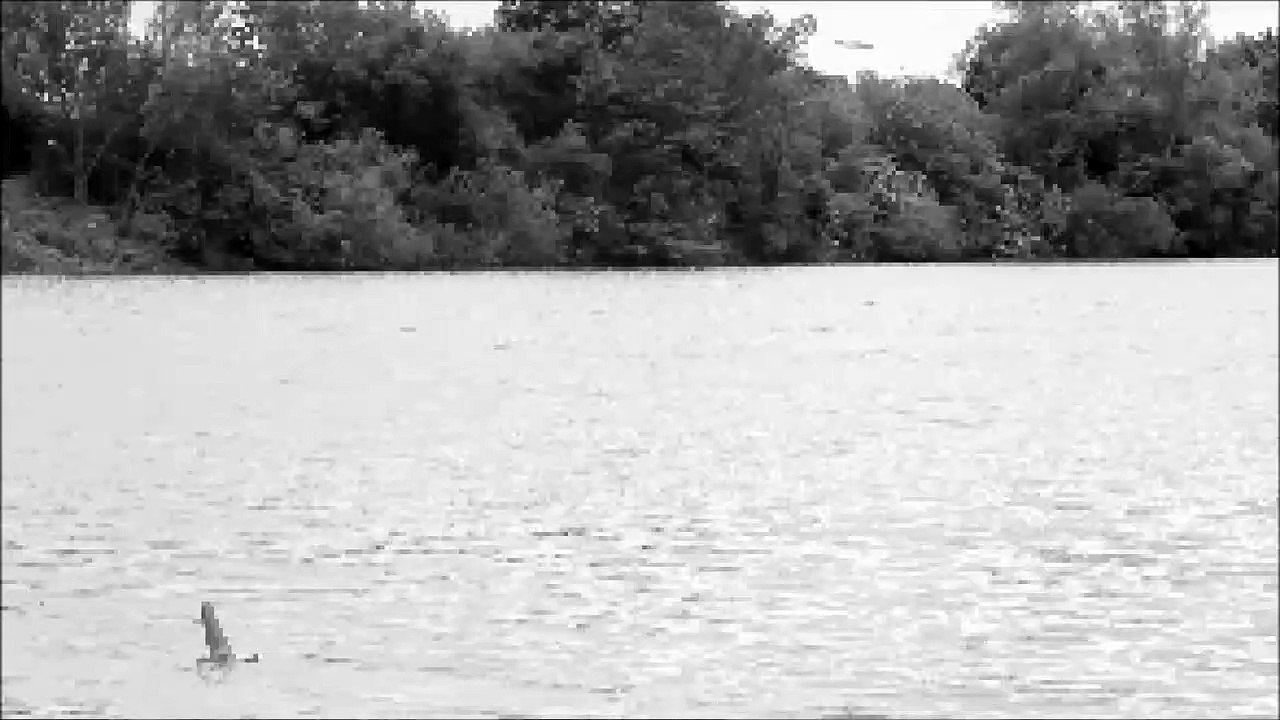 Sharkula | movie | 2016 | Official Teaser - video Dailymotion