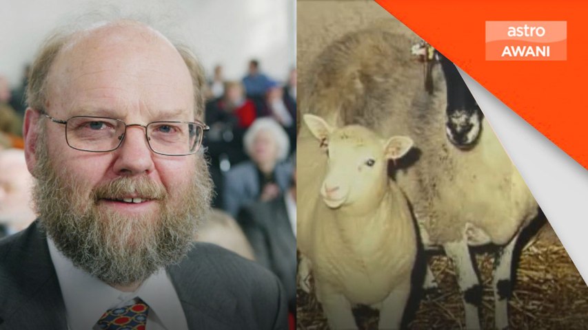 Saintis cipta haiwan klon 'Dolly The Sheep' meninggal dunia | Astro Awani