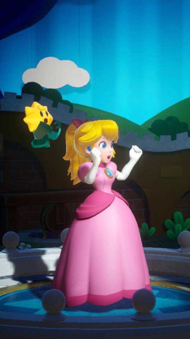 La Bagarre De La Princesse Peach