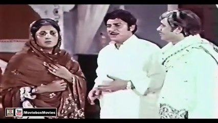 CKN shera Jutt by zz kids tv television - Dailymotion