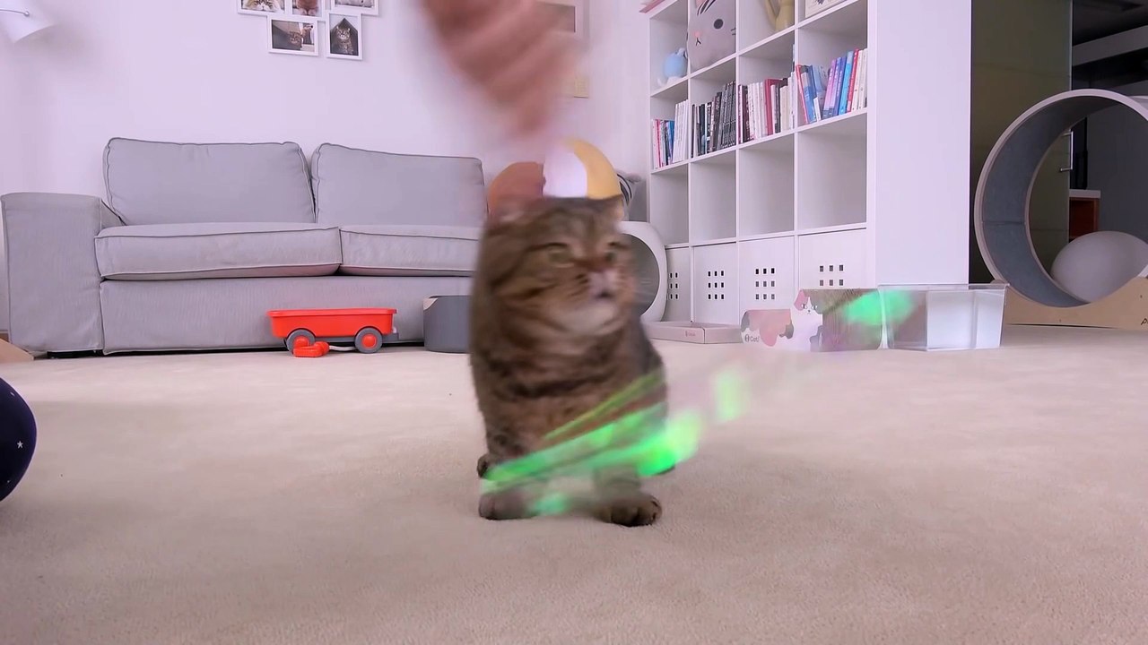 Let's Train LuLu! | Kittisaurus - video Dailymotion