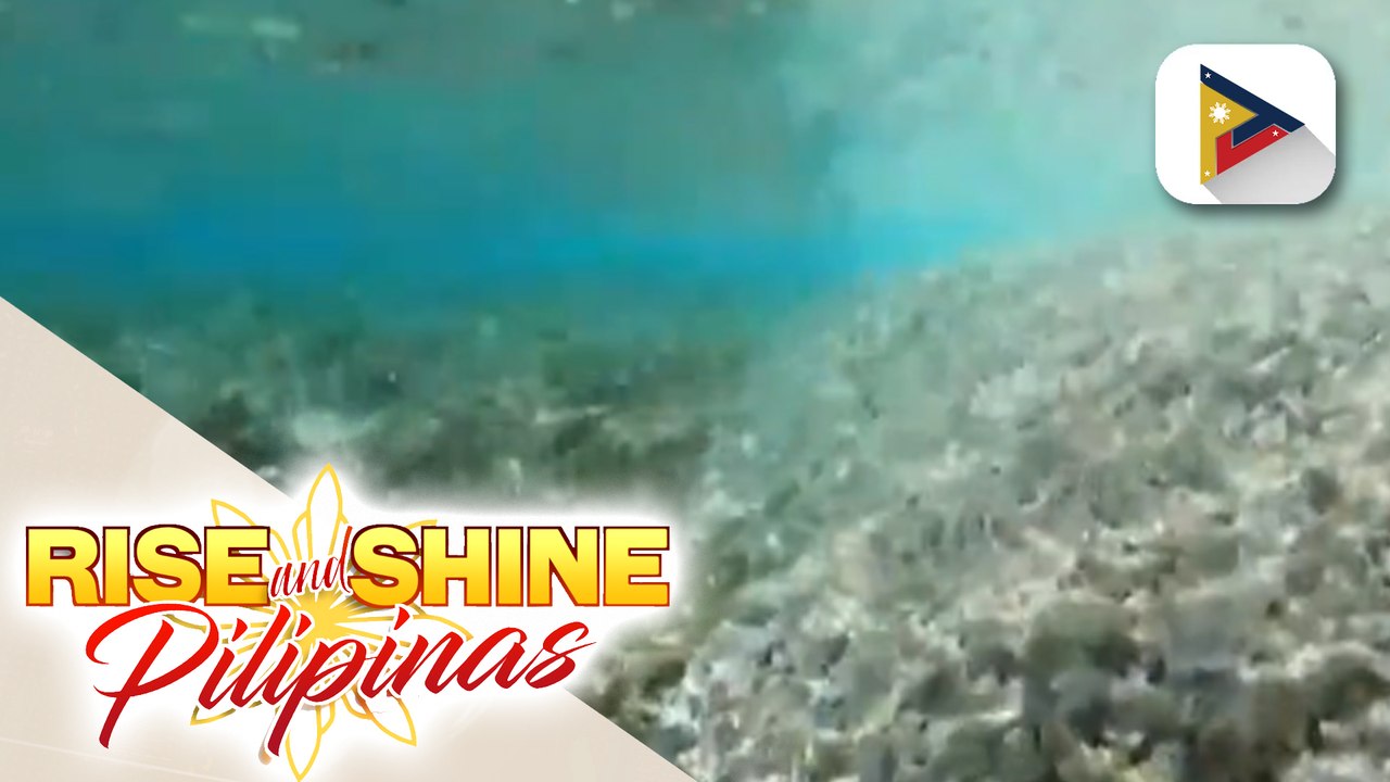 Nasirang bahura sa Rozul Reef at Escoda Shoal, posibleng makaapekto sa ...