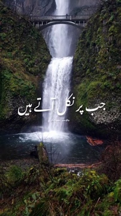 Na Rakh umeed wafa || Urdu status - video Dailymotion